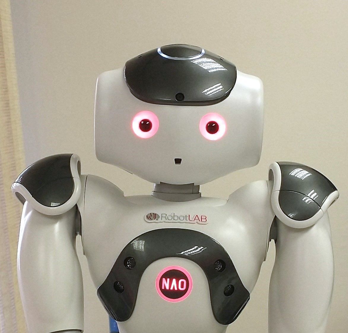 Support for NAO, RobotsLAB BOX | Error